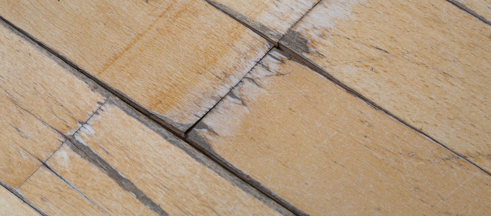 Repair or Replace Water-Damaged Hardwood Floors